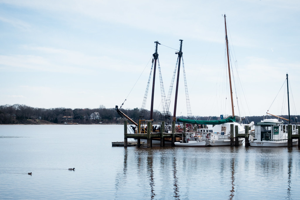 Chester River Fishing in Maryland - Maps, Reports, & Best Spots ...