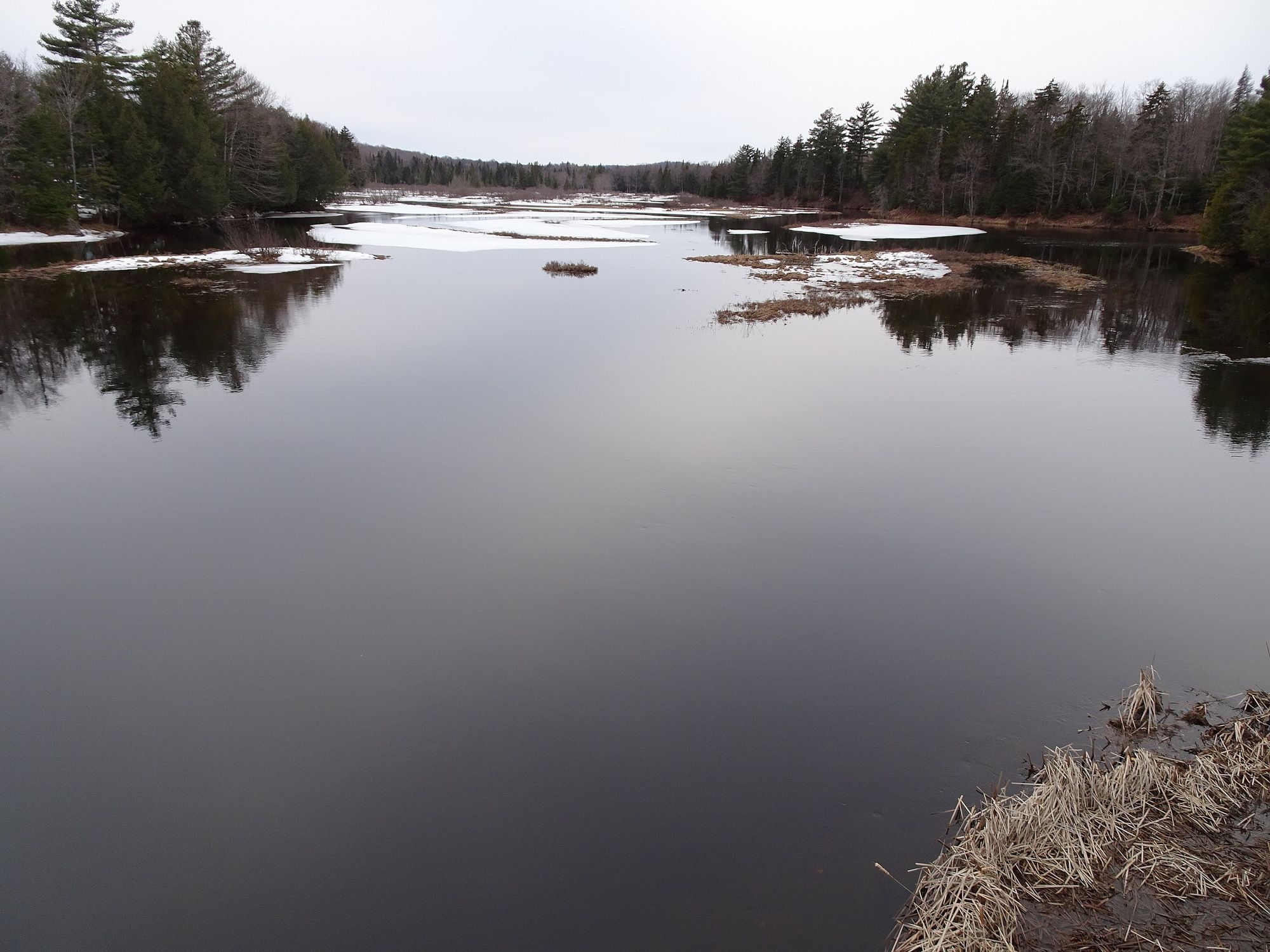 Moose River Fishing in New York - Maps, Reports, & Best Spots | onWater ...