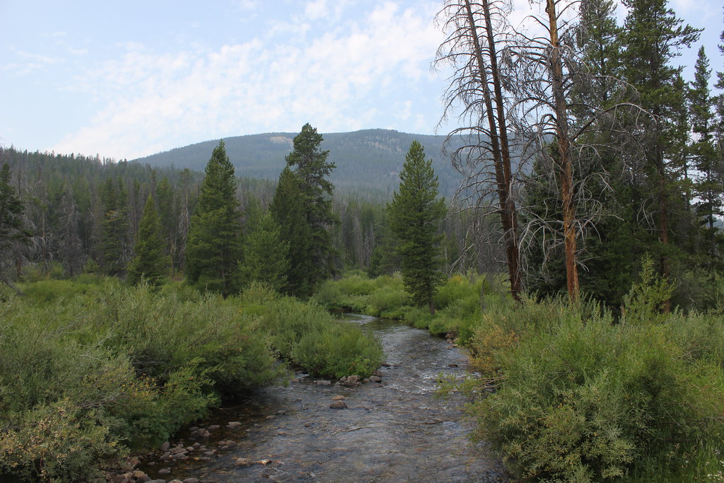 Wise River Fishing in Montana - Maps, Reports, & Best Spots | onWater ...
