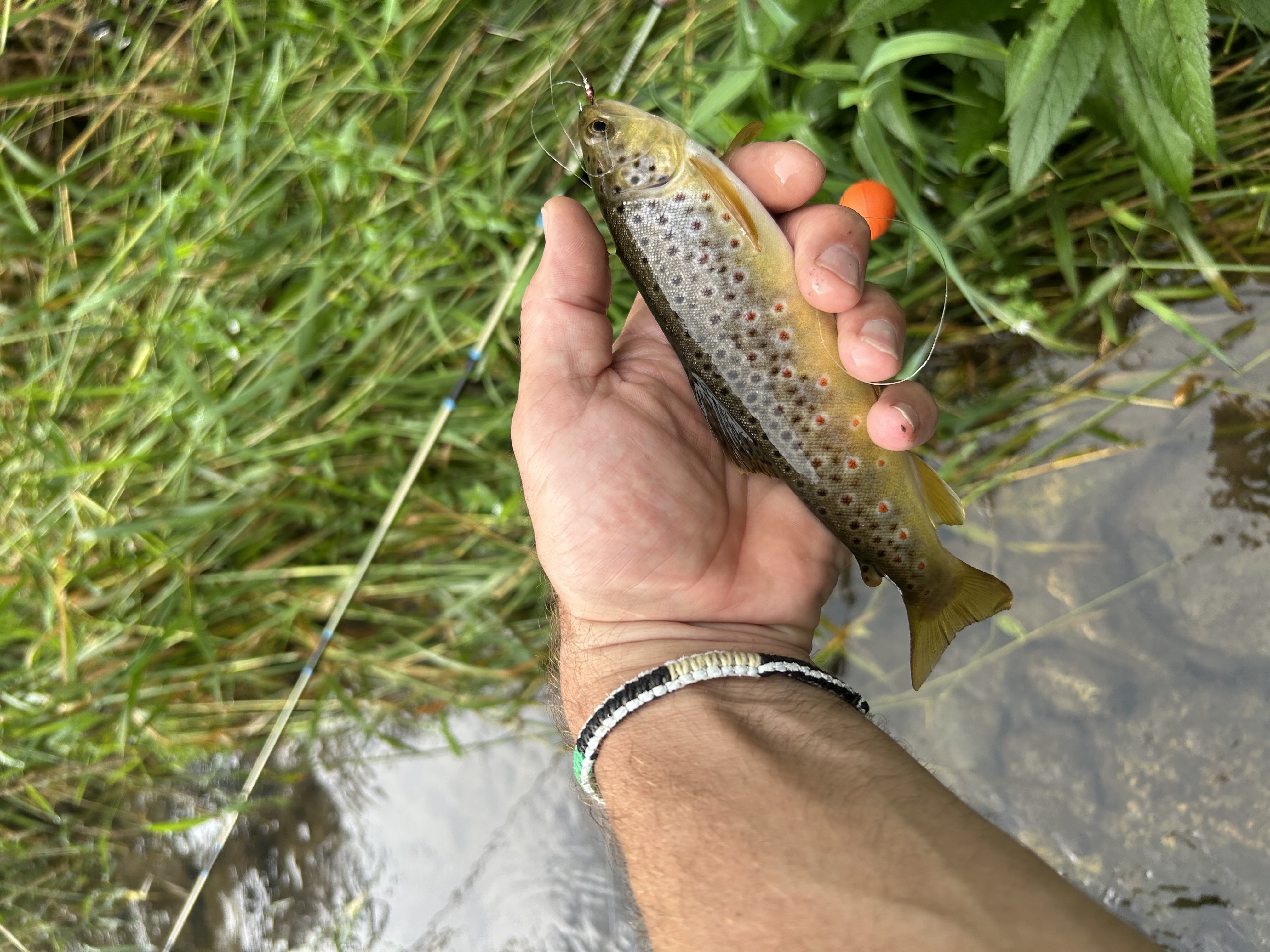 Rush River Fishing in Wisconsin - Maps, Reports, & Best Spots | onWater ...