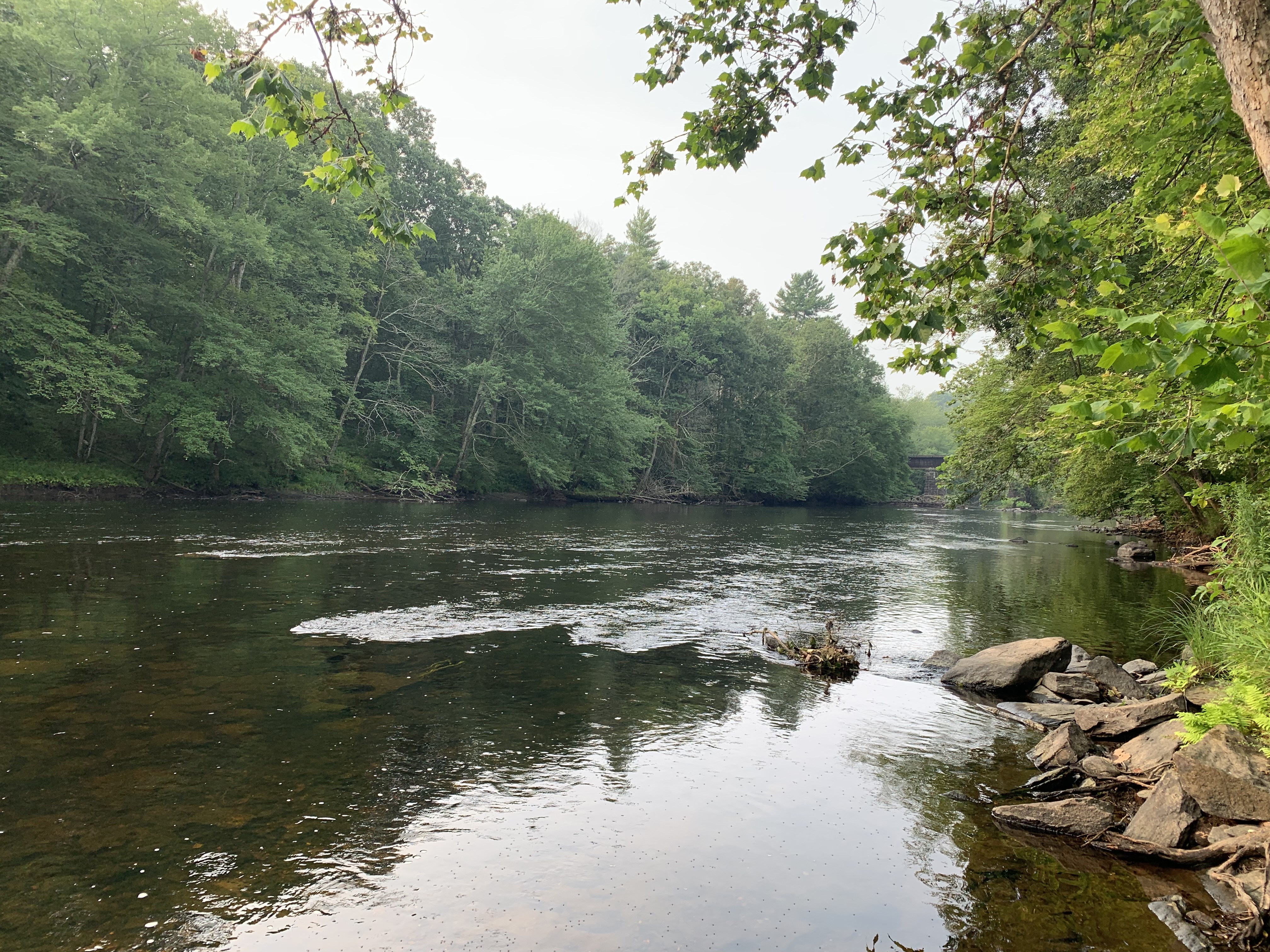 Shetucket River Fishing in Connecticut - Maps, Reports, & Best Spots ...